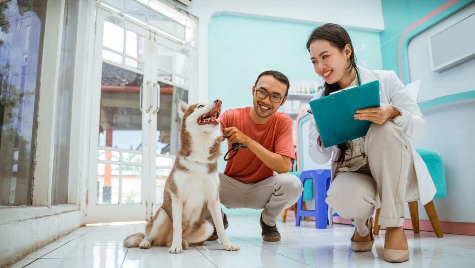 Maximise Your Profit: How to Successfully Sell Your Veterinary Practice ...